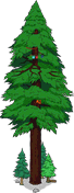 Springfield's oldest redwood tree - Wikisimpsons, the Simpsons Wiki