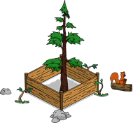 Springfield's oldest redwood tree - Wikisimpsons, the Simpsons Wiki