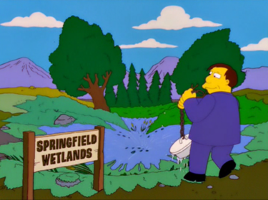 Springfield Wetlands - Wikisimpsons, the Simpsons Wiki