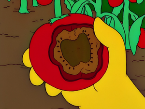 Tomacco - Wikisimpsons, the Simpsons Wiki