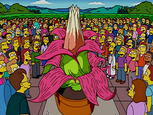 Sumatran Century Flower - Wikisimpsons, the Simpsons Wiki