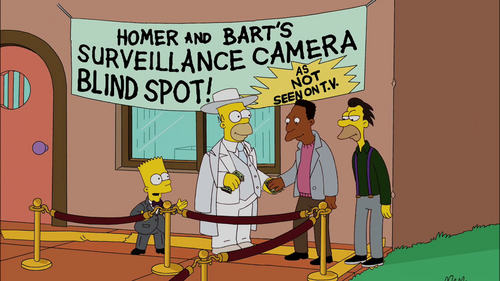 Homer and Bart's Surveillance Camera Blind Spot - Wikisimpsons, the ...
