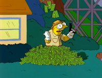 Billy Graham - Wikisimpsons, the Simpsons Wiki