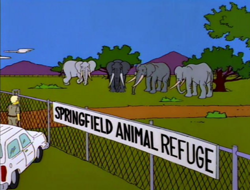 Springfield Animal Refuge - Wikisimpsons, the Simpsons Wiki