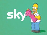 Sky - Wikisimpsons, the Simpsons Wiki