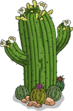 Desert buildings - Wikisimpsons, the Simpsons Wiki