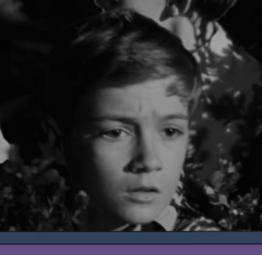 Category:Images - Daddicus Finch - Wikisimpsons, the Simpsons Wiki