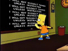 Category:Images - Lisa on Ice - Wikisimpsons, the Simpsons Wiki