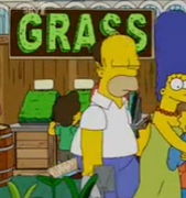 Category:Images - In the Name of the Grandfather - Wikisimpsons, the ...