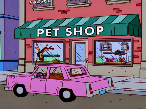 Pet Shop - Wikisimpsons, the Simpsons Wiki